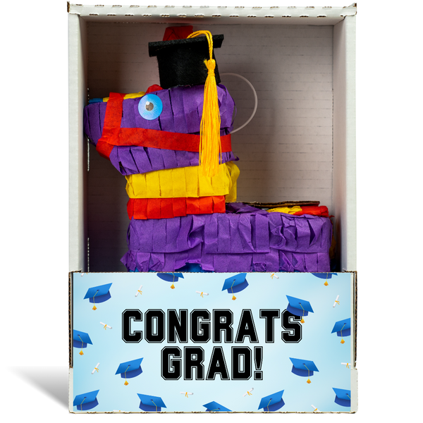 Graduation Piñata - Piñatagrams
