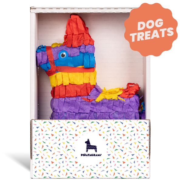 Pet Piñatas - Piñatagrams