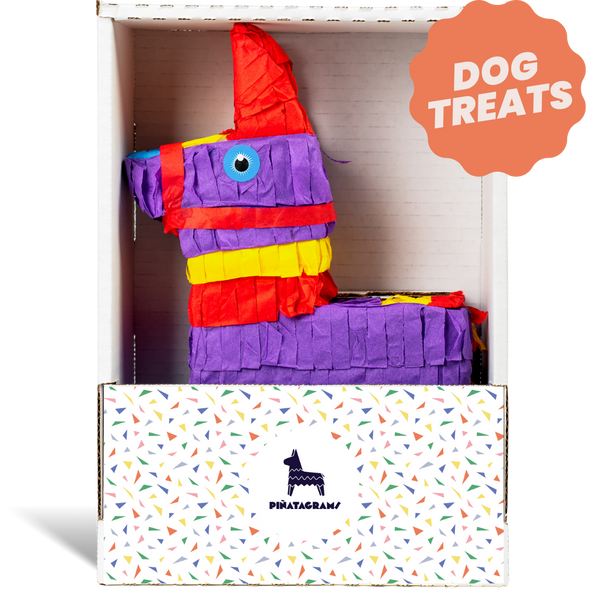 Pet Piñatas - Piñatagrams