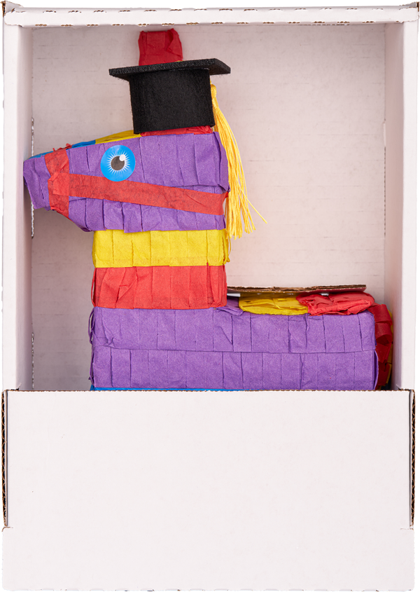 Happy Graduation Class of 2025 Piñata Gift - Piñatagrams